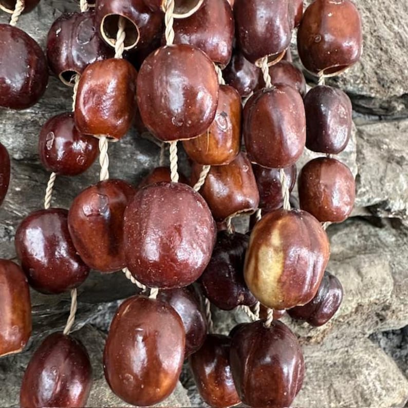 Pala Seed Rattle Large Reiki Infused - Etsy