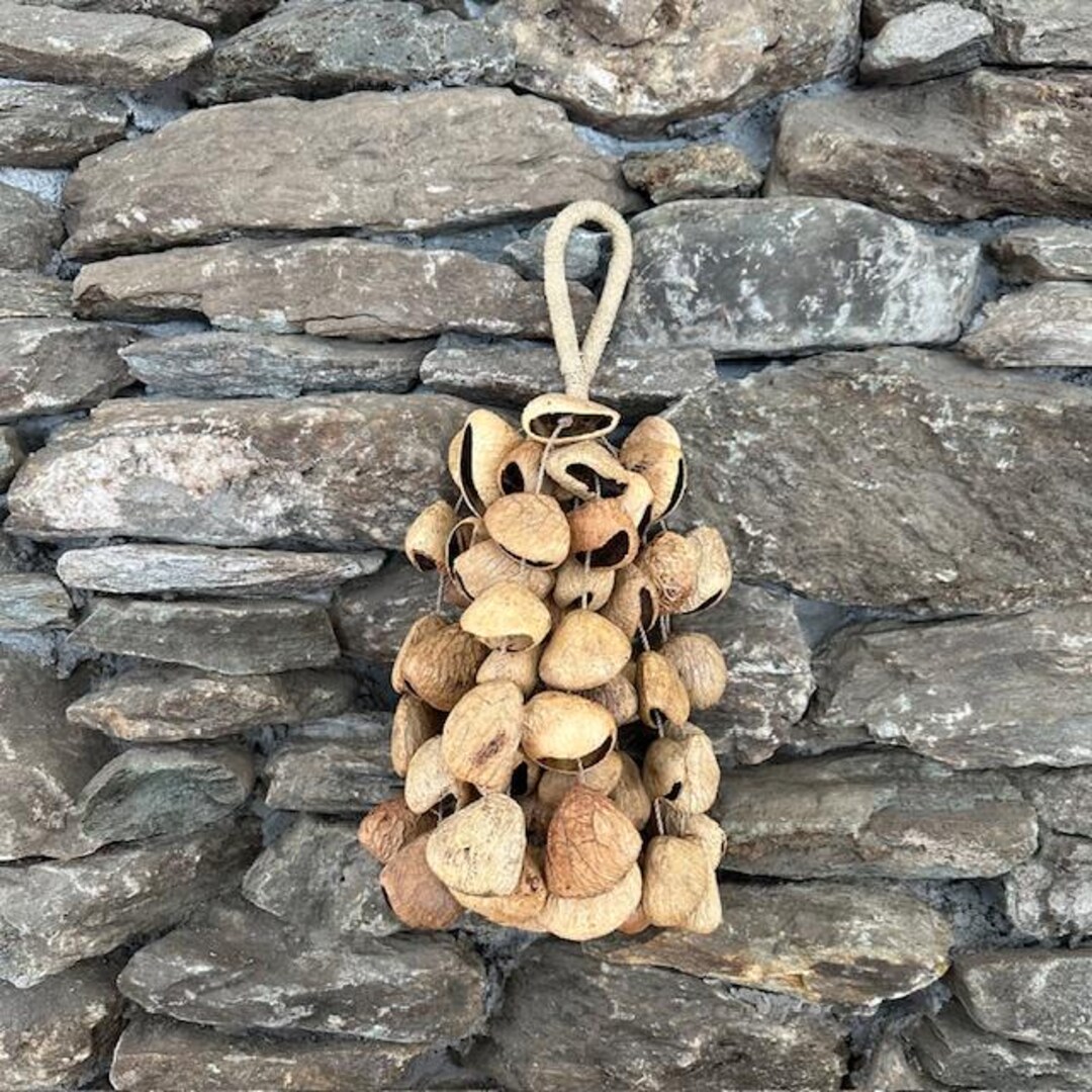 Extra Large Pangi Rattle Reiki Infused - Etsy