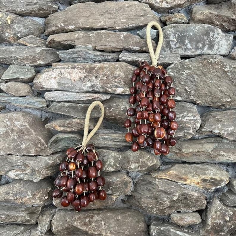 Pala Seed Rattle Large Reiki Infused - Etsy