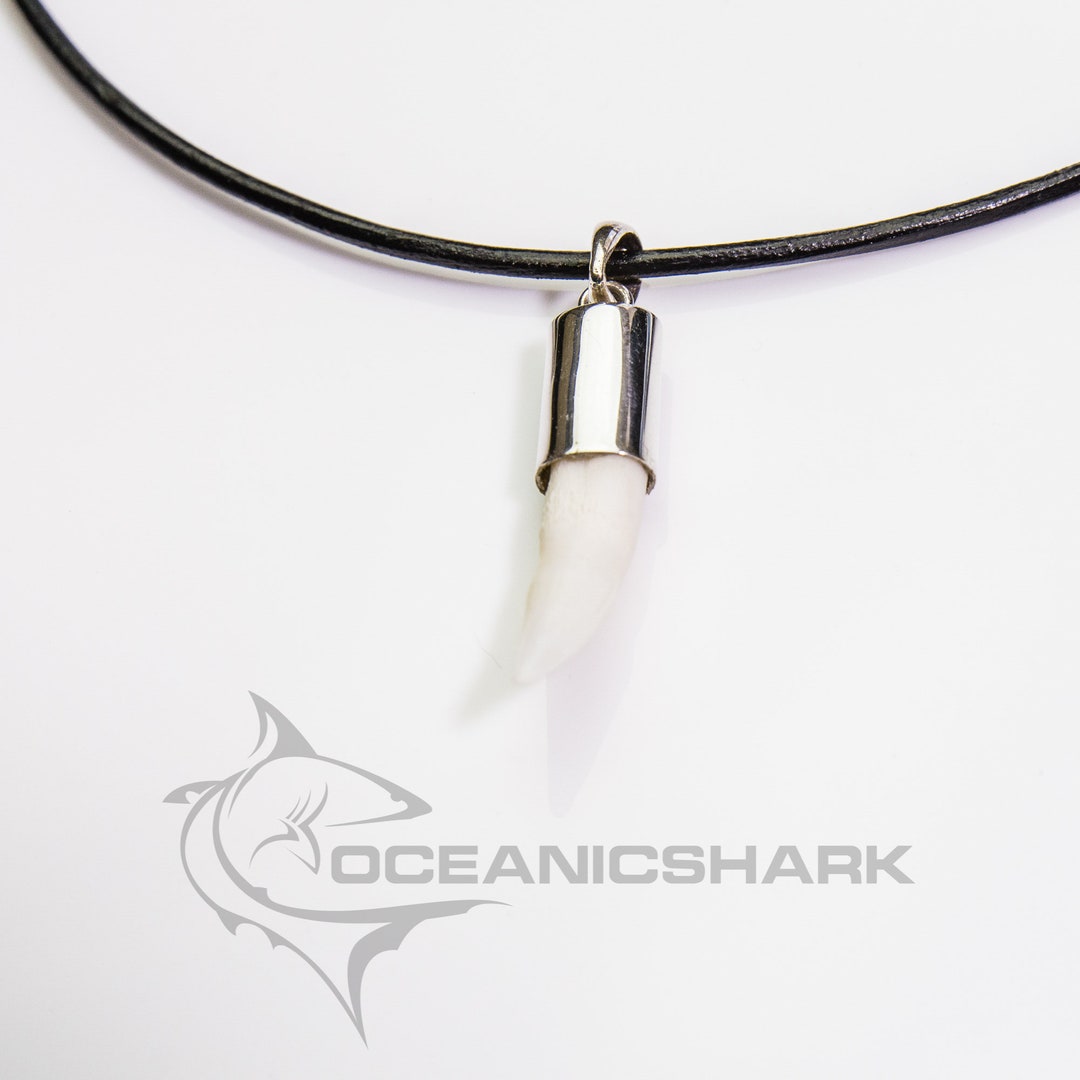 Crocodile Tooth Necklace Australia Alligator Tooth Necklace Buy ...