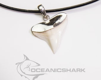 Bull Shark Tooth Pendant Necklace - Etsy
