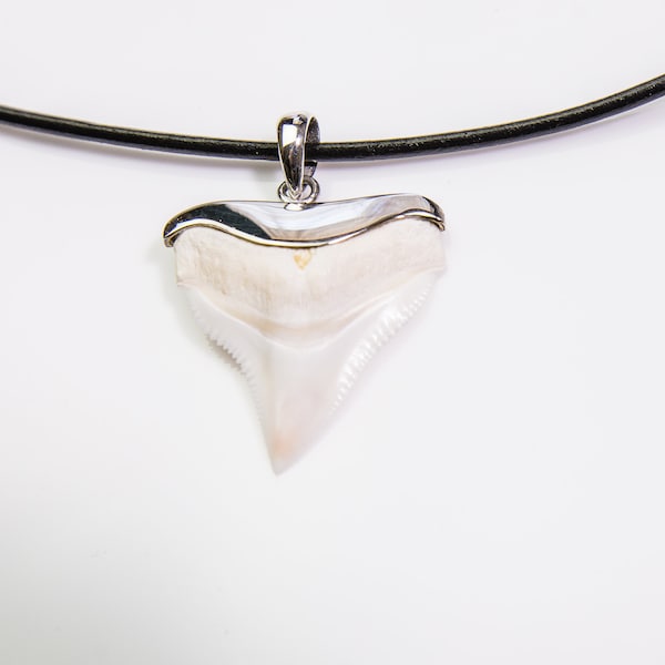 Shark Tooth Charm - Etsy