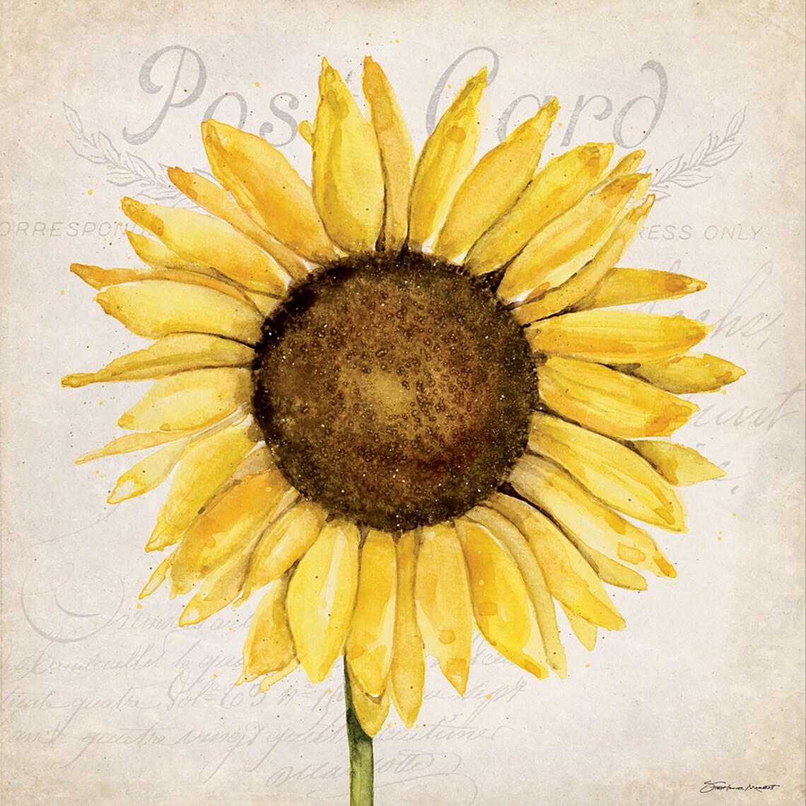 Sunflower Garden 4 Set by Stephanie Marrott - Etsy