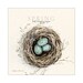 Spring Bird-chirping Season Print by Stephanie Marrott - Etsy