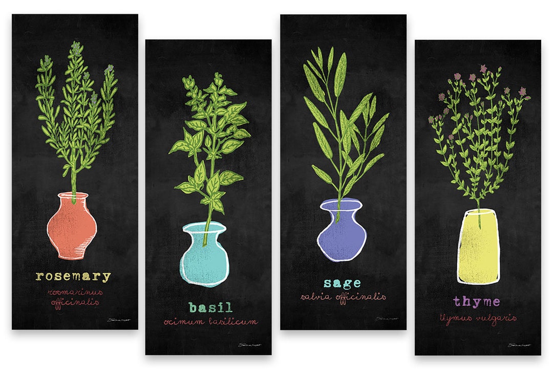 Kitchen Herb Art 4 Set by Stephanie Marrott - Etsy