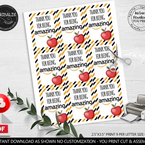 Teacher Appreciation Tags Thank You for Being Amazing Volunteer Staff ...