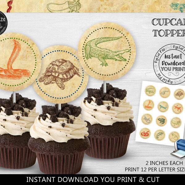 Reptile Cupcake - Etsy