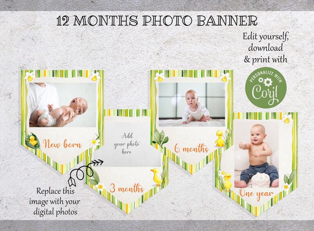 Duckling Monthly Photo Banner Printable Duckling Milestone Banner First ...