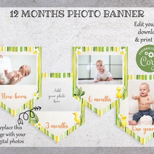 Duckling Monthly Photo Banner Printable Duckling Milestone Banner First ...