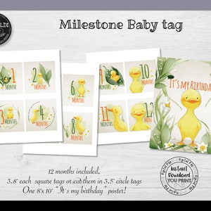 Duckling Milestone Stickers, Instant Download Baby Duck Milestone ...