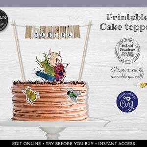 Editable Insect Cake Topper, Printable Bugs Birthday Cake Topper, Bugs ...