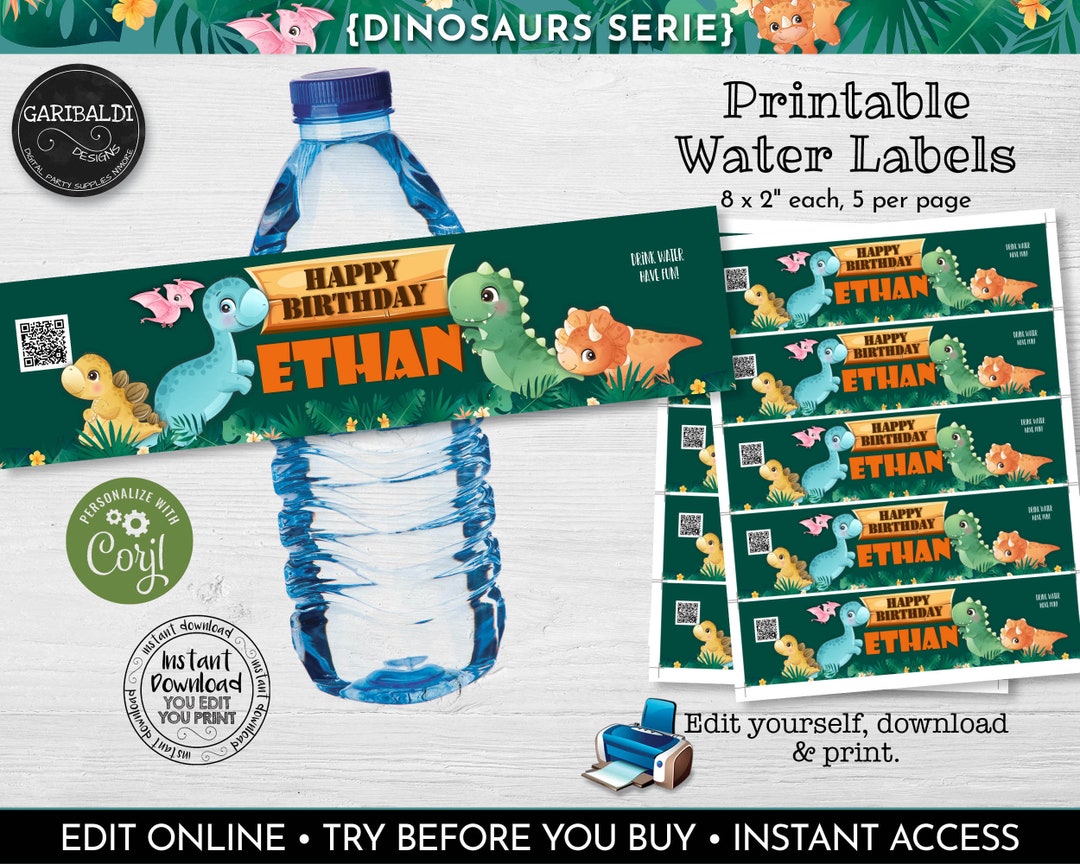 Dinosaur Water Bottle Labels Editable T-rex Water Labels Dinosaurs ...