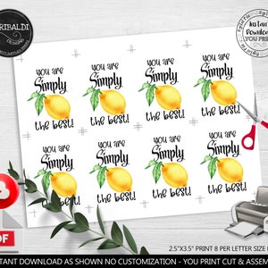 Teacher Appreciation Tags You Are Simply the Best Gift Tag Lemonade ...