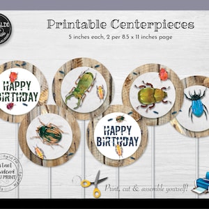 Printable Insects Centerpieces, Bugs Cake Topper, Bugs Decorations ...