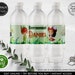 Editable Peter Pan Water Bottle Labels Neverland Birthday Party Favors ...