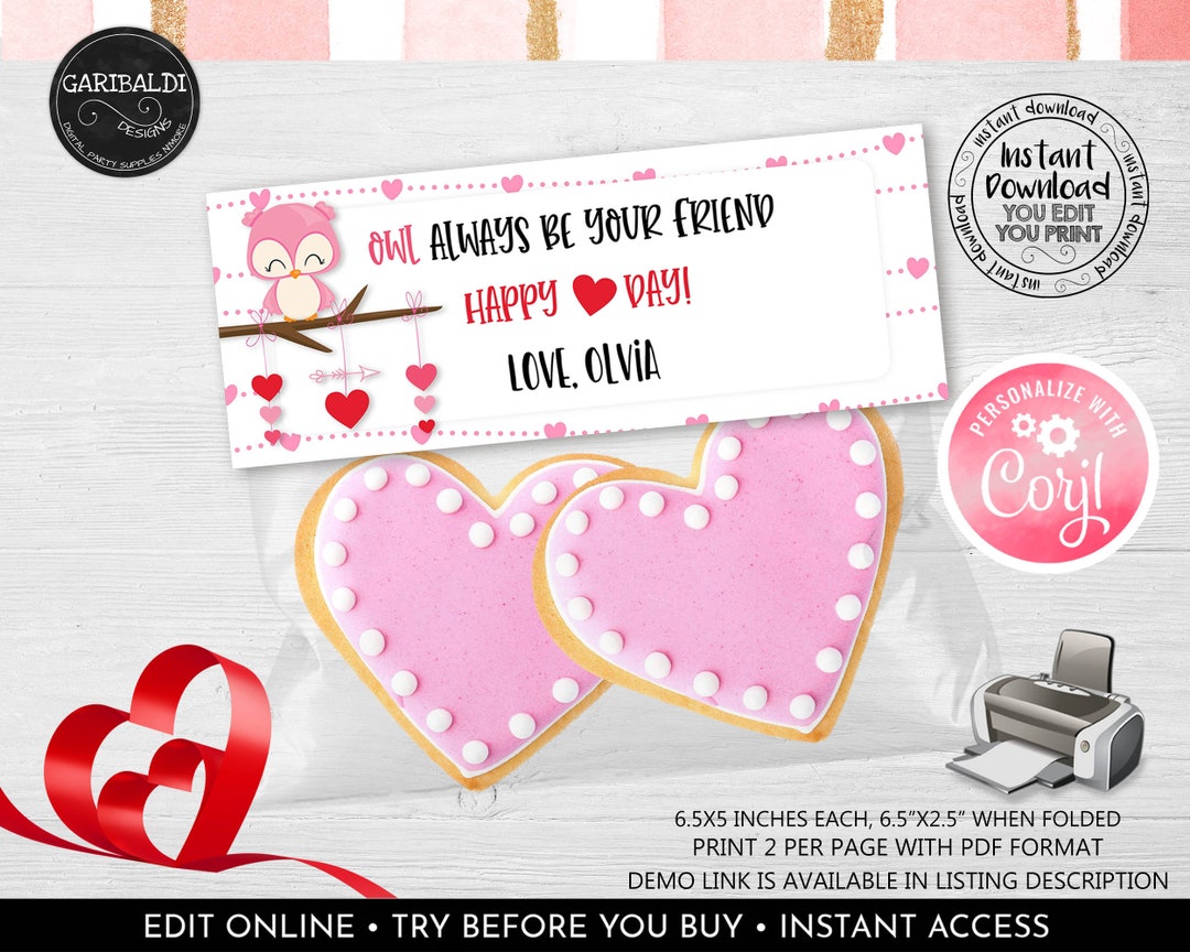 Editable Valentine's Day Bag Topper Owl Valentine's Day Treat Topper ...