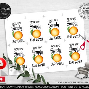 Teacher Appreciation Tags You Are Simply the Best Gift Tag Orange Juice ...