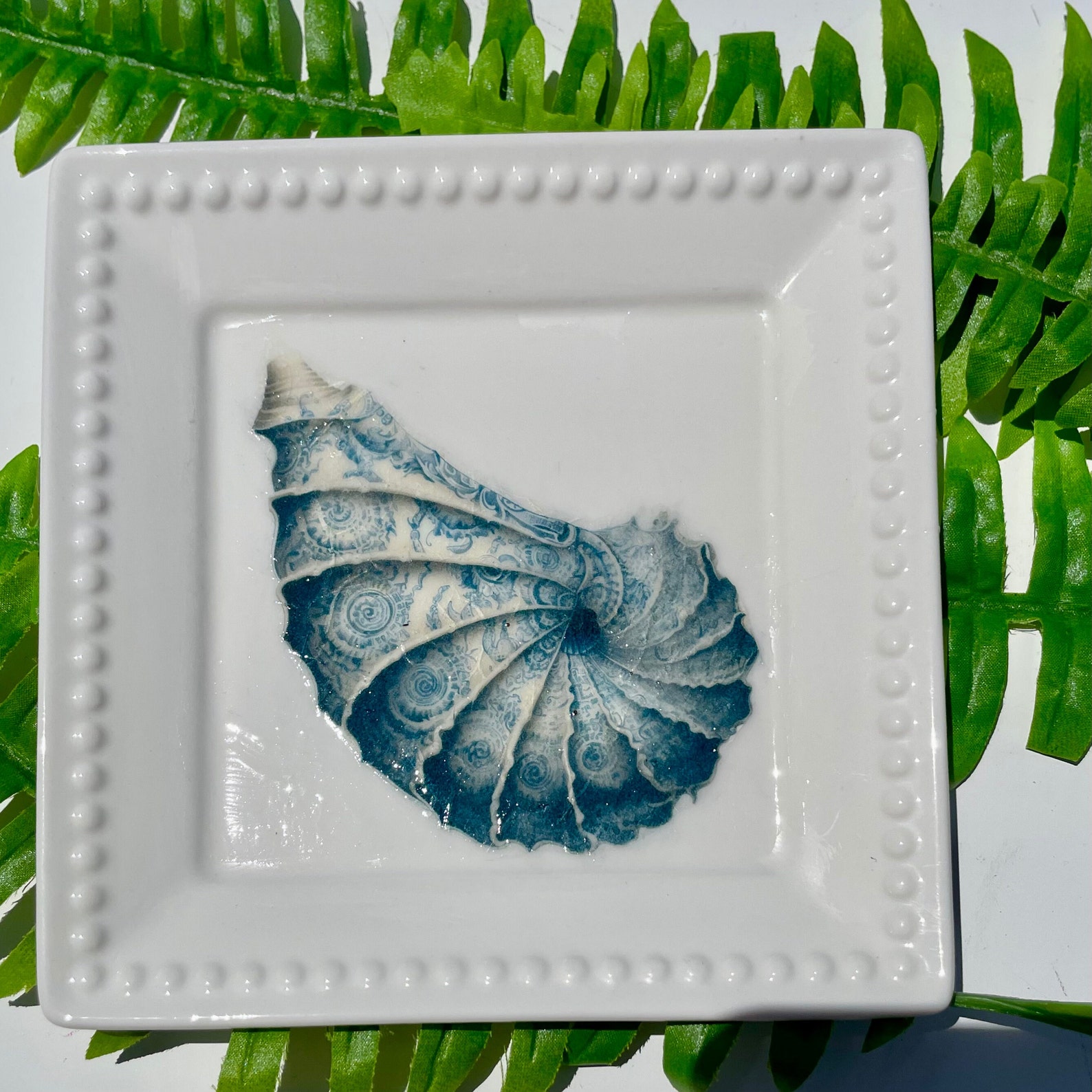 Blue and White Seashells on White Porcelain Plates/decorative Wall ...