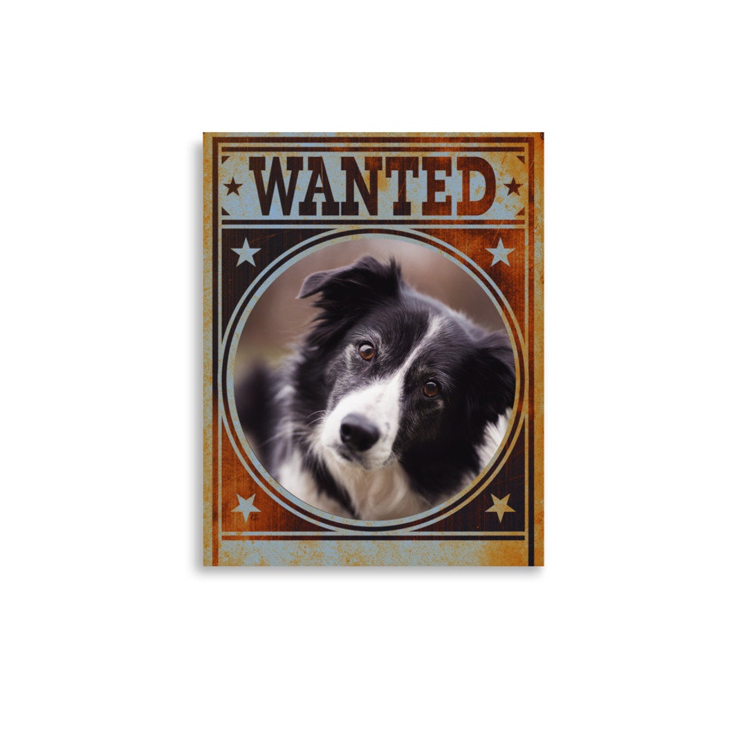 Border Collie Mug Shot Wanted Poster - Etsy Canada
