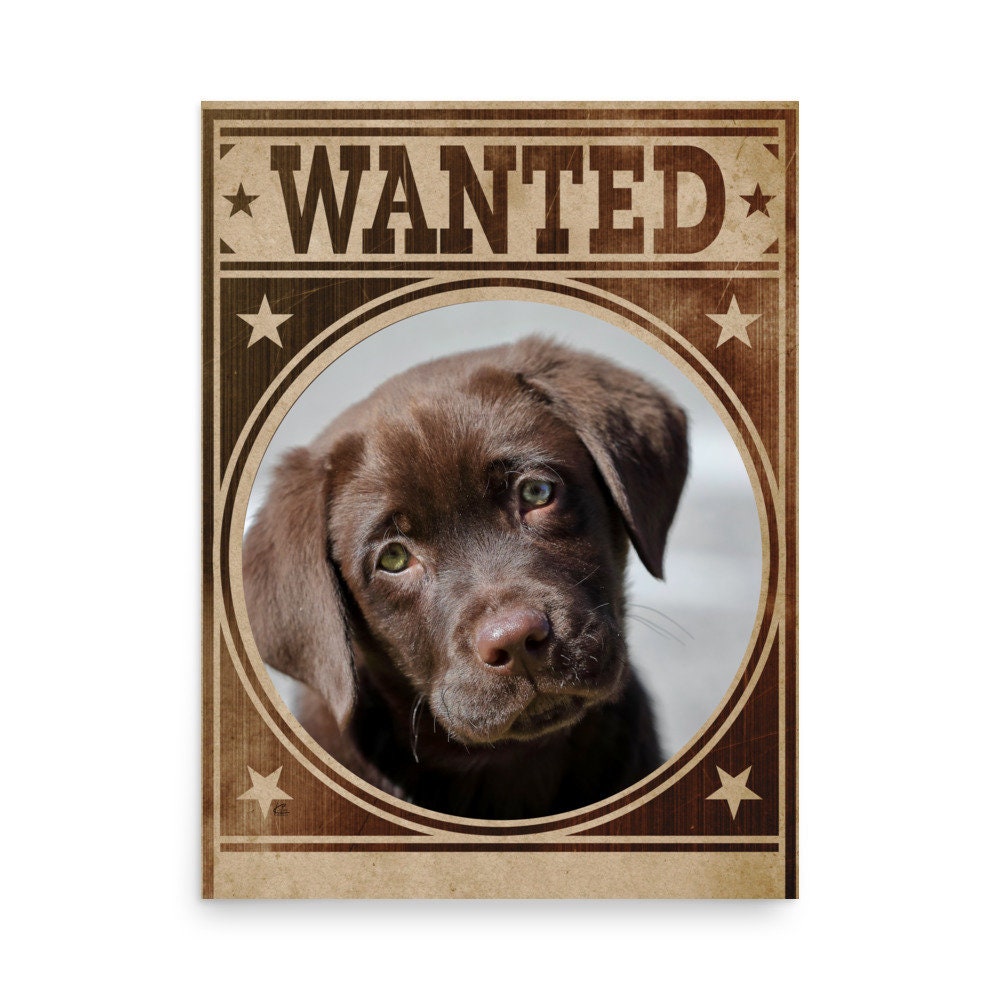 Labrador Mug Shot Wanted Poster - Etsy