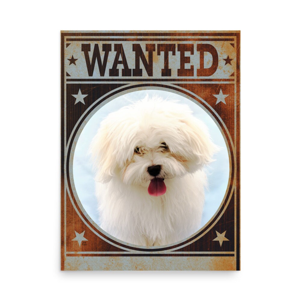 Bichons Frise Mug Shot Wanted Poster - Etsy