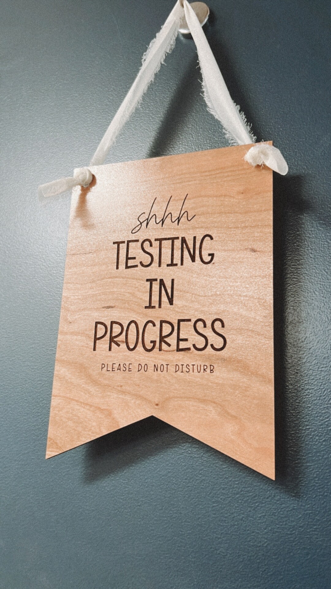 Testing in Progress Sign: Engraved Cherry Plywood Classroom Decor - Etsy