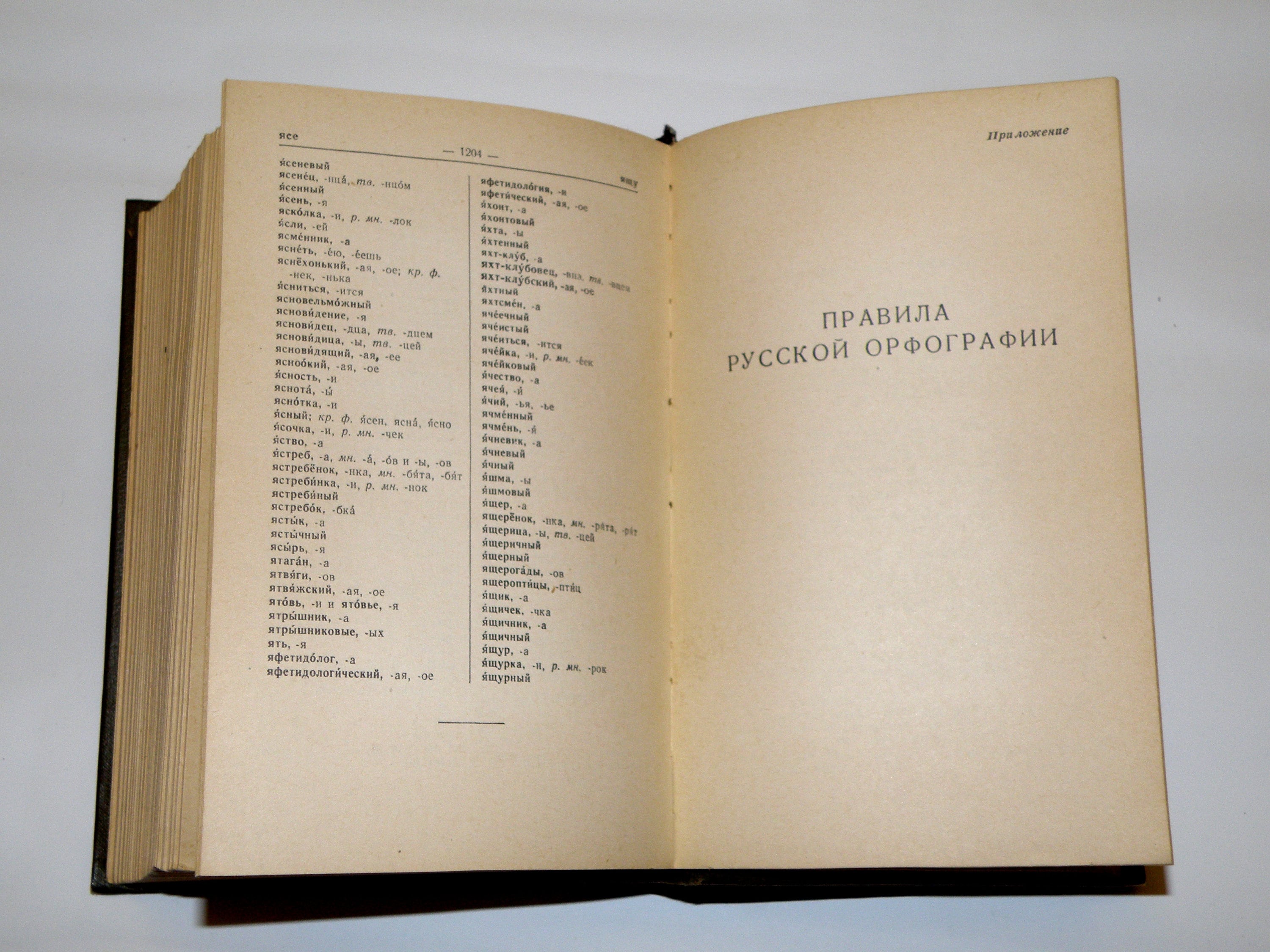 Large Russian Spelling Dictionary Vintage Reference Book on - Etsy