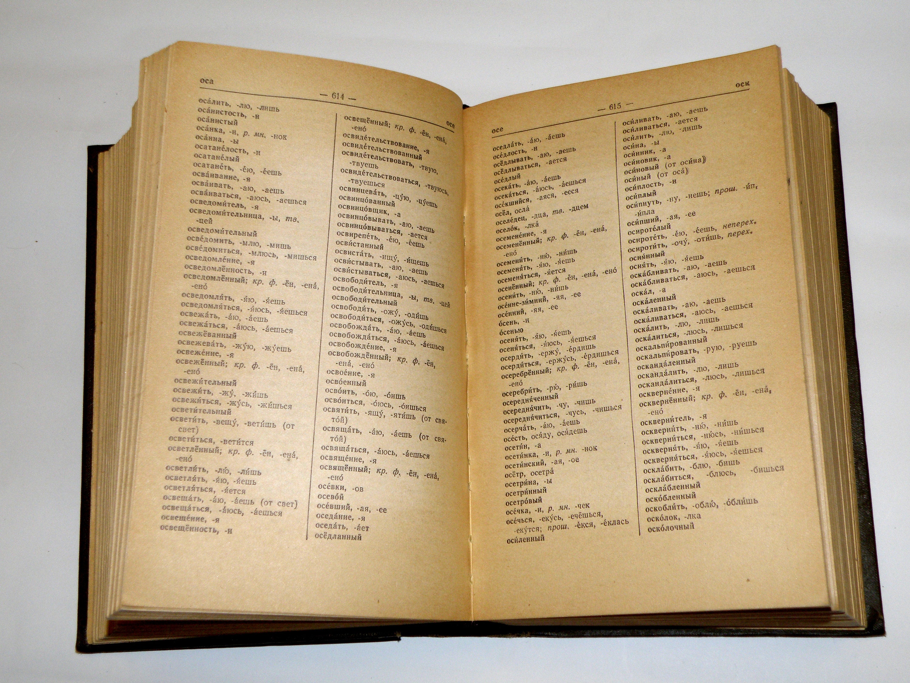 Large Russian Spelling Dictionary Vintage Reference Book on - Etsy