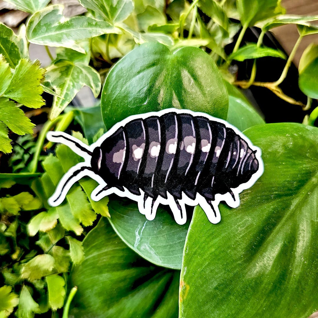 Isopod Vinyl Sticker | Armadillidium Vulgare | Hand-made Waterproof ...