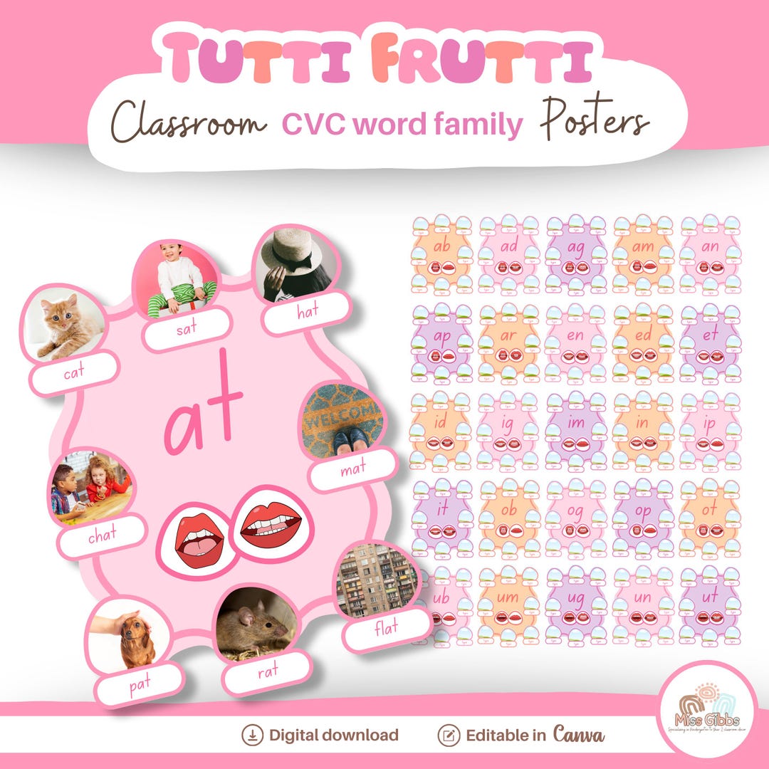 Educational Posters Phonics With Mouth Articulation | Word Families ...