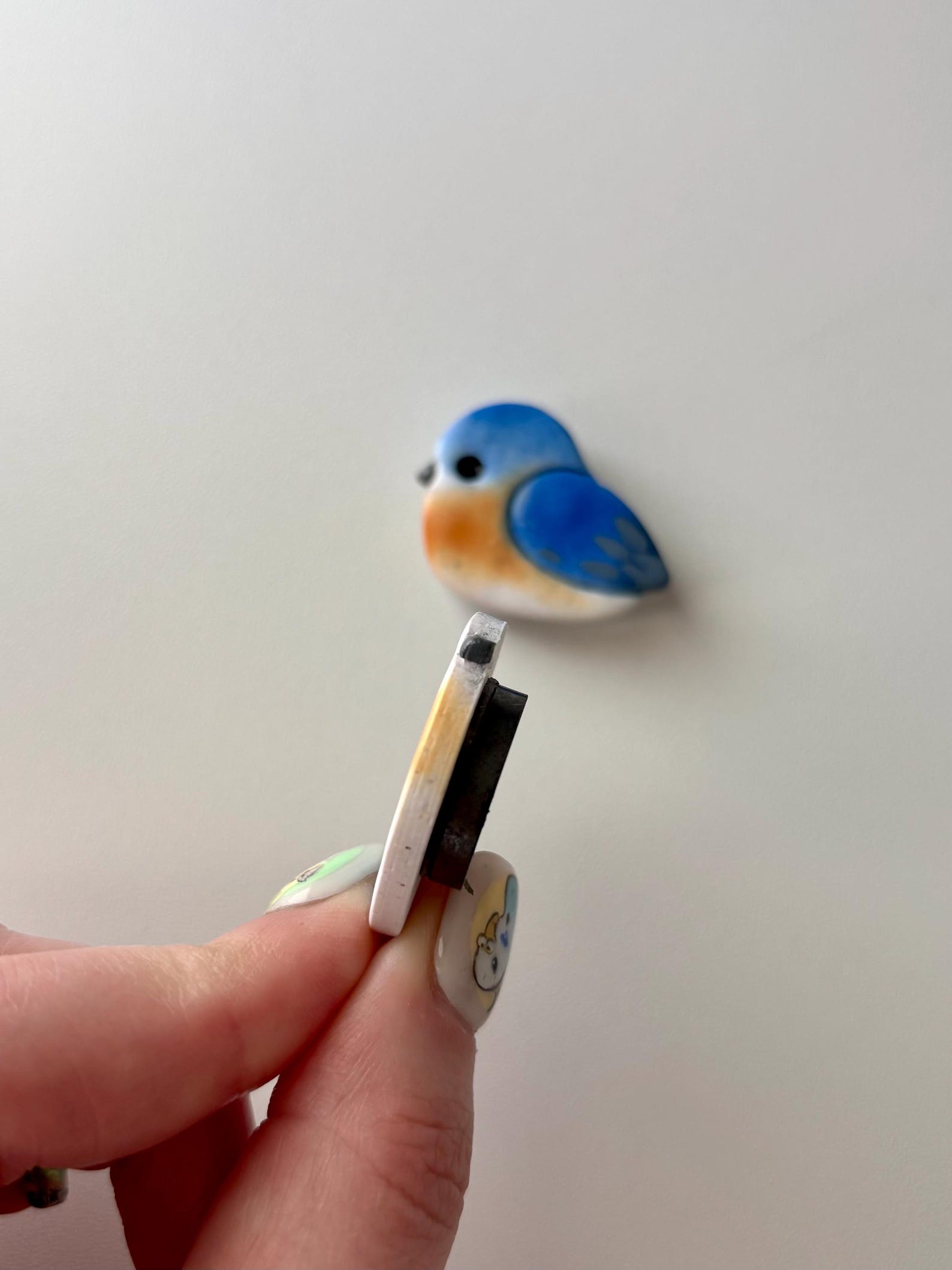 Eastern Bluebird Couple, Decorative Magnet Mirrored Pair, Polymer Clay ...