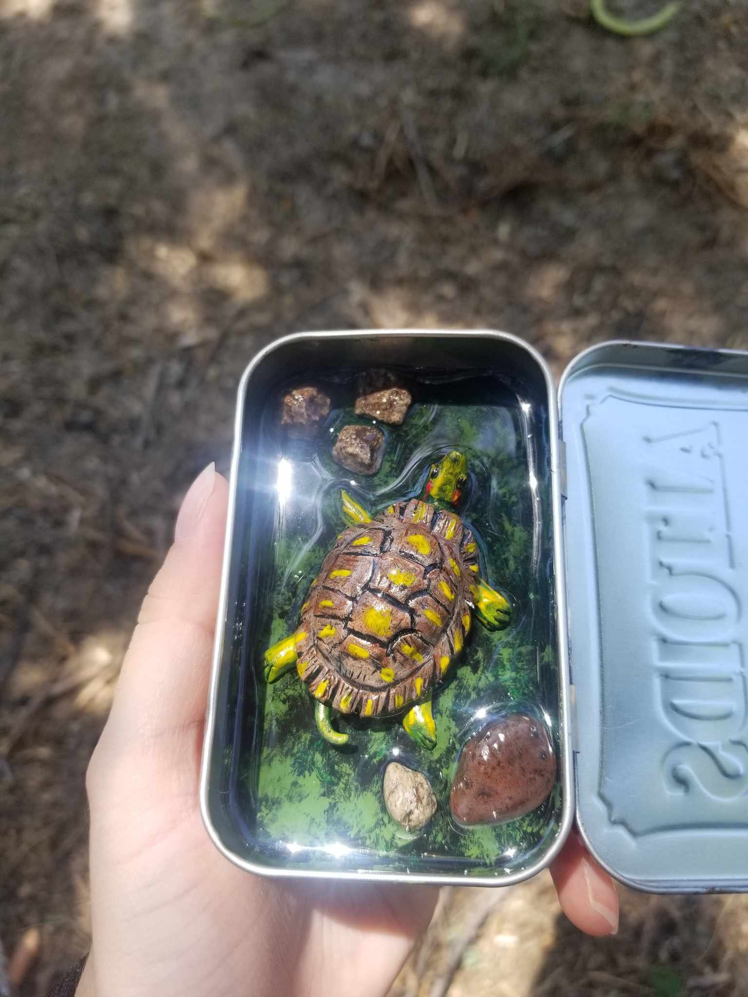 Red Eared Slider Turtle Altoid Tin Resin Pond Polymer Clay Art - Etsy