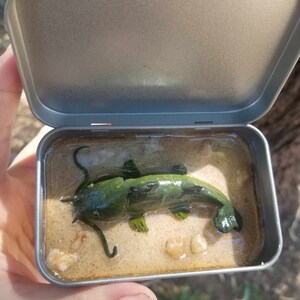 Catfish in Resin Pond Polymer Clay Art Pond in a Tin - Etsy