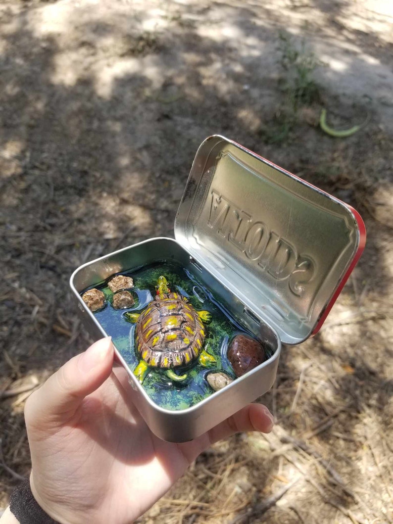 Red Eared Slider Turtle Altoid Tin Resin Pond Polymer Clay Art - Etsy