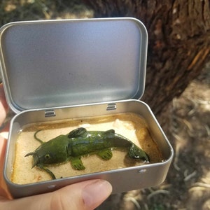 Catfish in Resin Pond Polymer Clay Art Pond in a Tin - Etsy