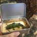 Catfish in Resin Pond Polymer Clay Art Pond in a Tin - Etsy