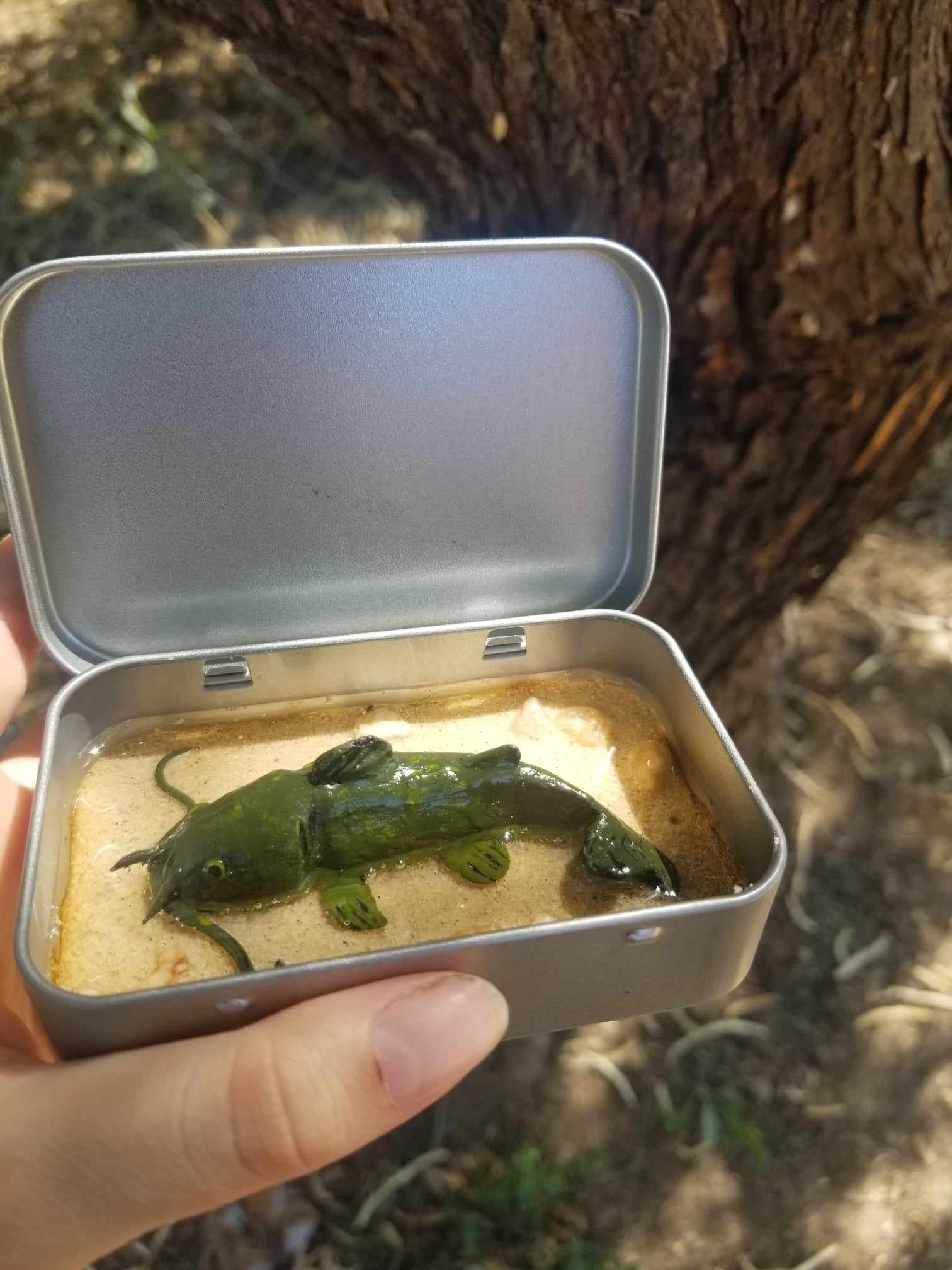 Catfish in Resin Pond Polymer Clay Art Pond in a Tin - Etsy