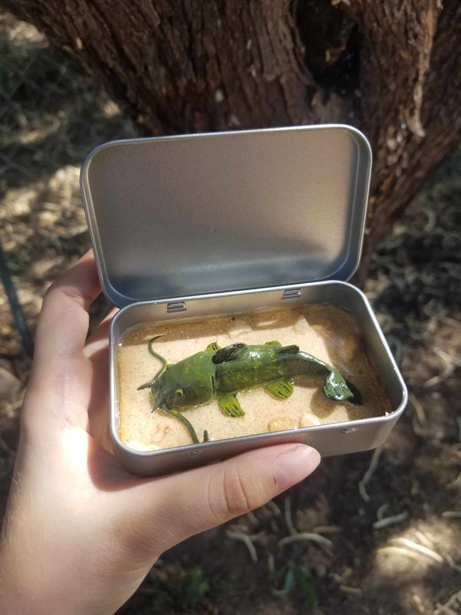 Catfish in Resin Pond Polymer Clay Art Pond in a Tin - Etsy