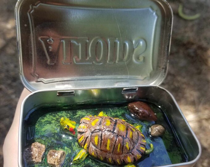 Red Eared Slider Turtle Altoid Tin Resin Pond Polymer Clay Art - Etsy