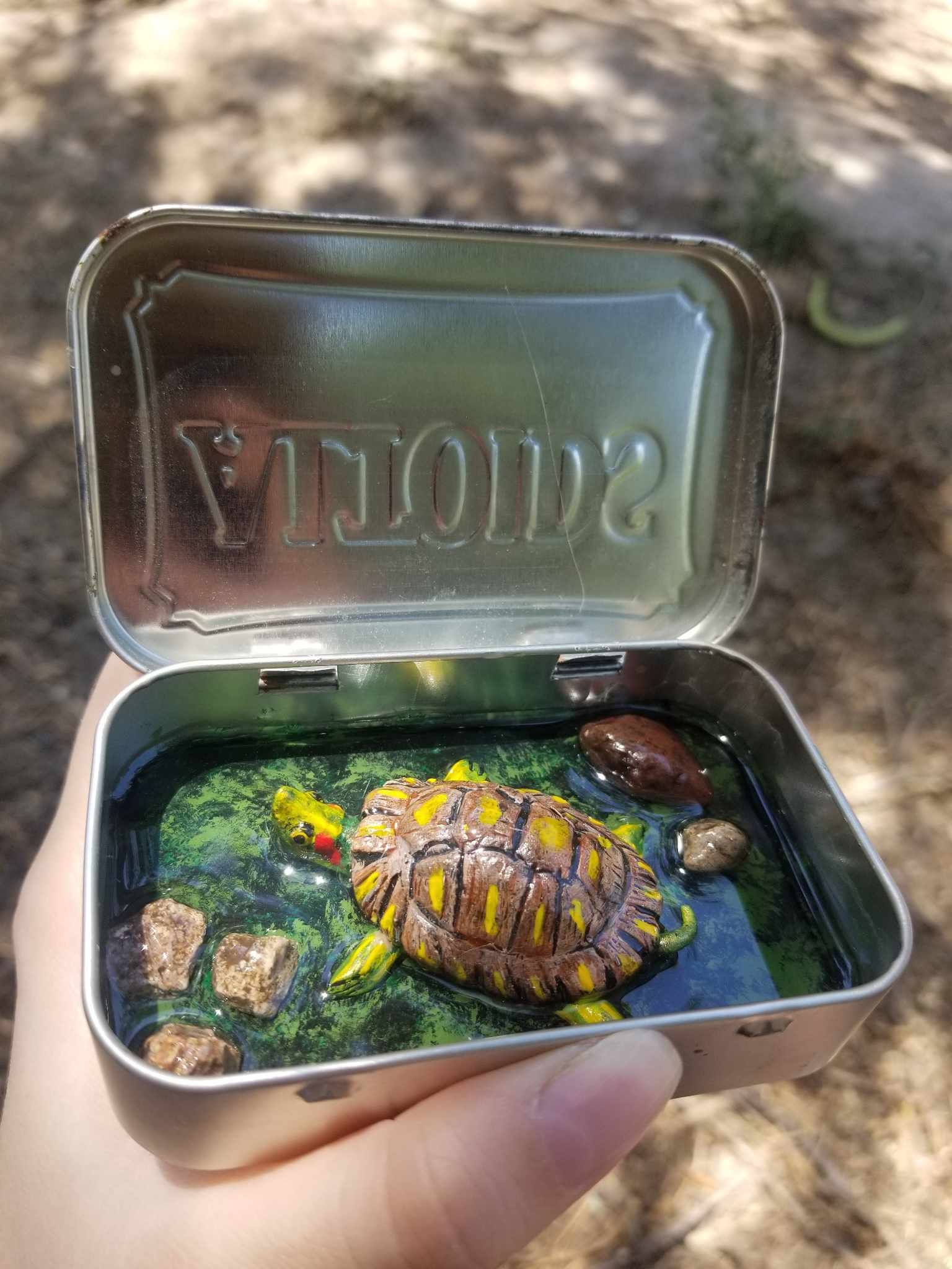 Red Eared Slider Turtle Altoid Tin Resin Pond Polymer Clay Art - Etsy