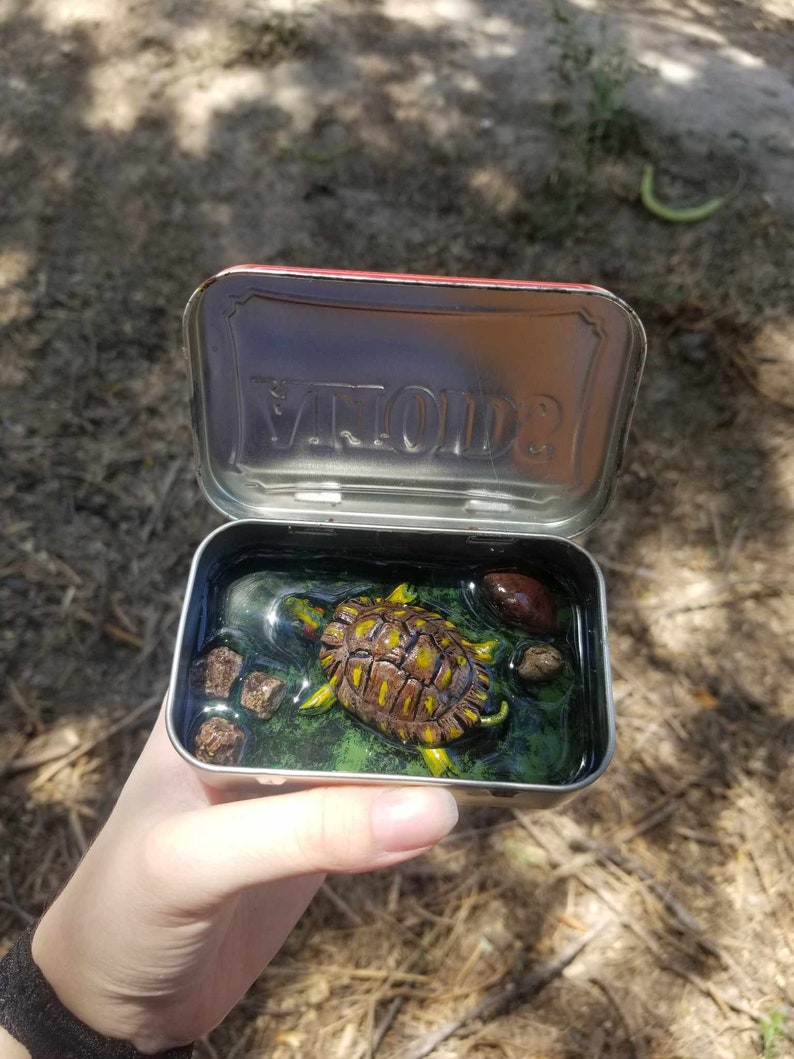 Red Eared Slider Turtle Altoid Tin Resin Pond Polymer Clay Art - Etsy