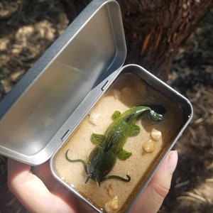 Catfish in Resin Pond Polymer Clay Art Pond in a Tin - Etsy