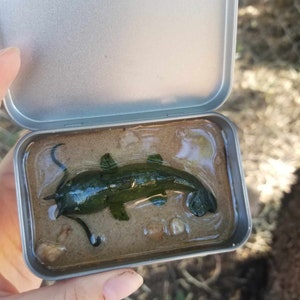 Catfish in Resin Pond Polymer Clay Art Pond in a Tin - Etsy