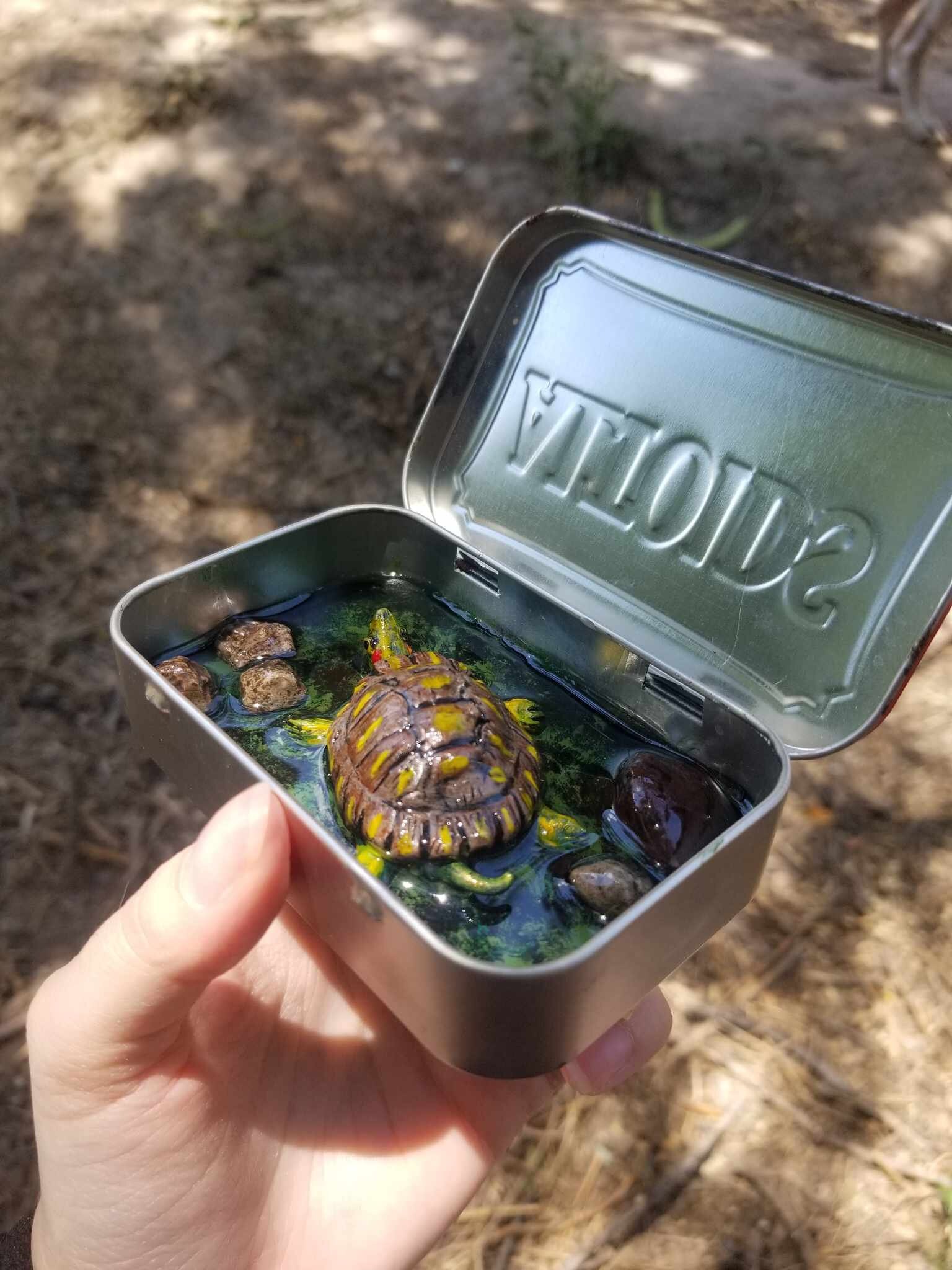 Red Eared Slider Turtle Altoid Tin Resin Pond Polymer Clay Art - Etsy