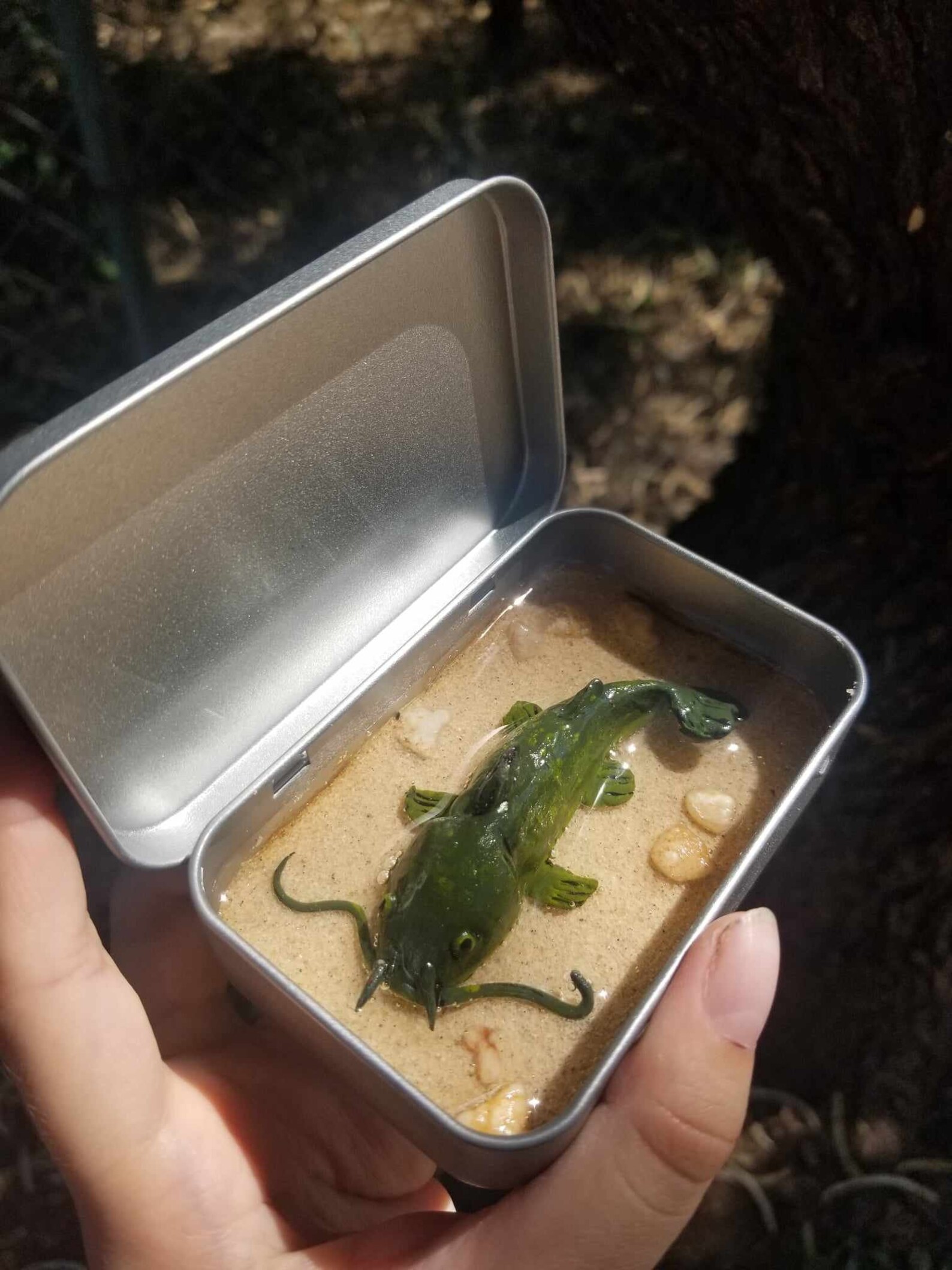 Catfish in Resin Pond Polymer Clay Art Pond in a Tin - Etsy