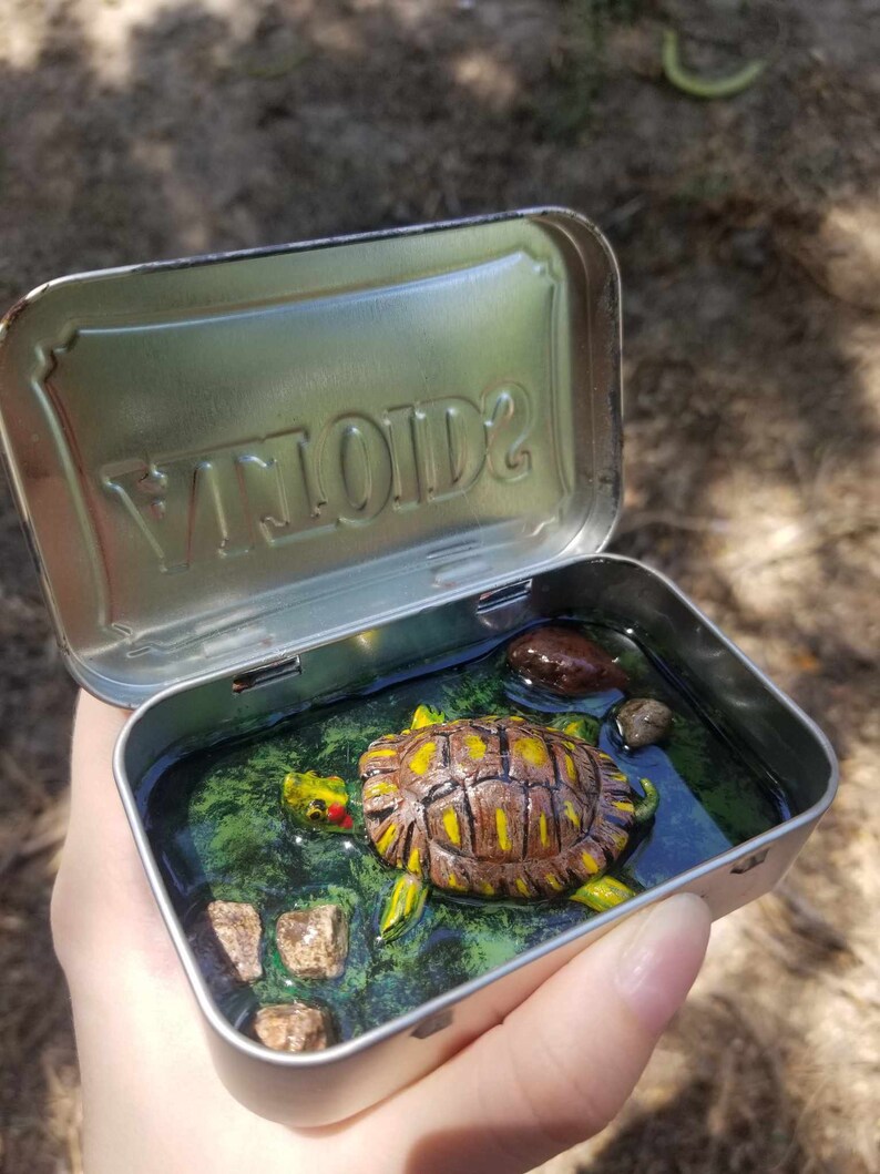 Red Eared Slider Turtle Altoid Tin Resin Pond Polymer Clay Art - Etsy