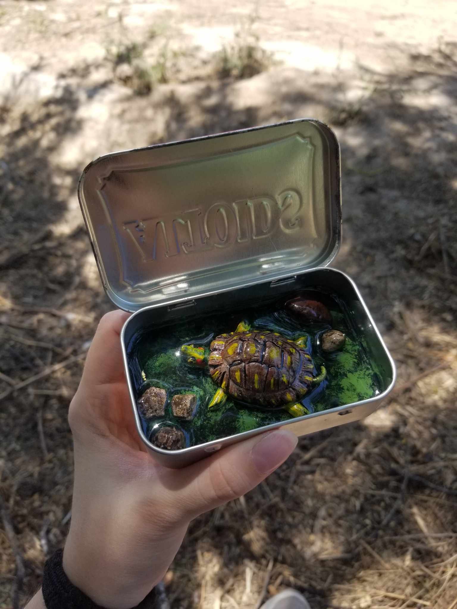 Red Eared Slider Turtle Altoid Tin Resin Pond Polymer Clay Art - Etsy