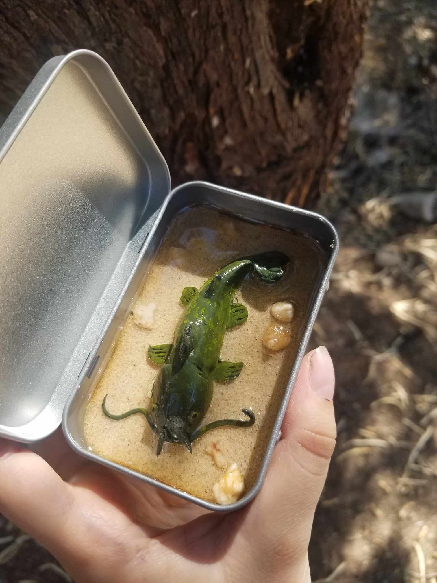Catfish in Resin Pond Polymer Clay Art Pond in a Tin - Etsy