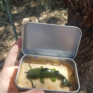Catfish in Resin Pond Polymer Clay Art Pond in a Tin - Etsy