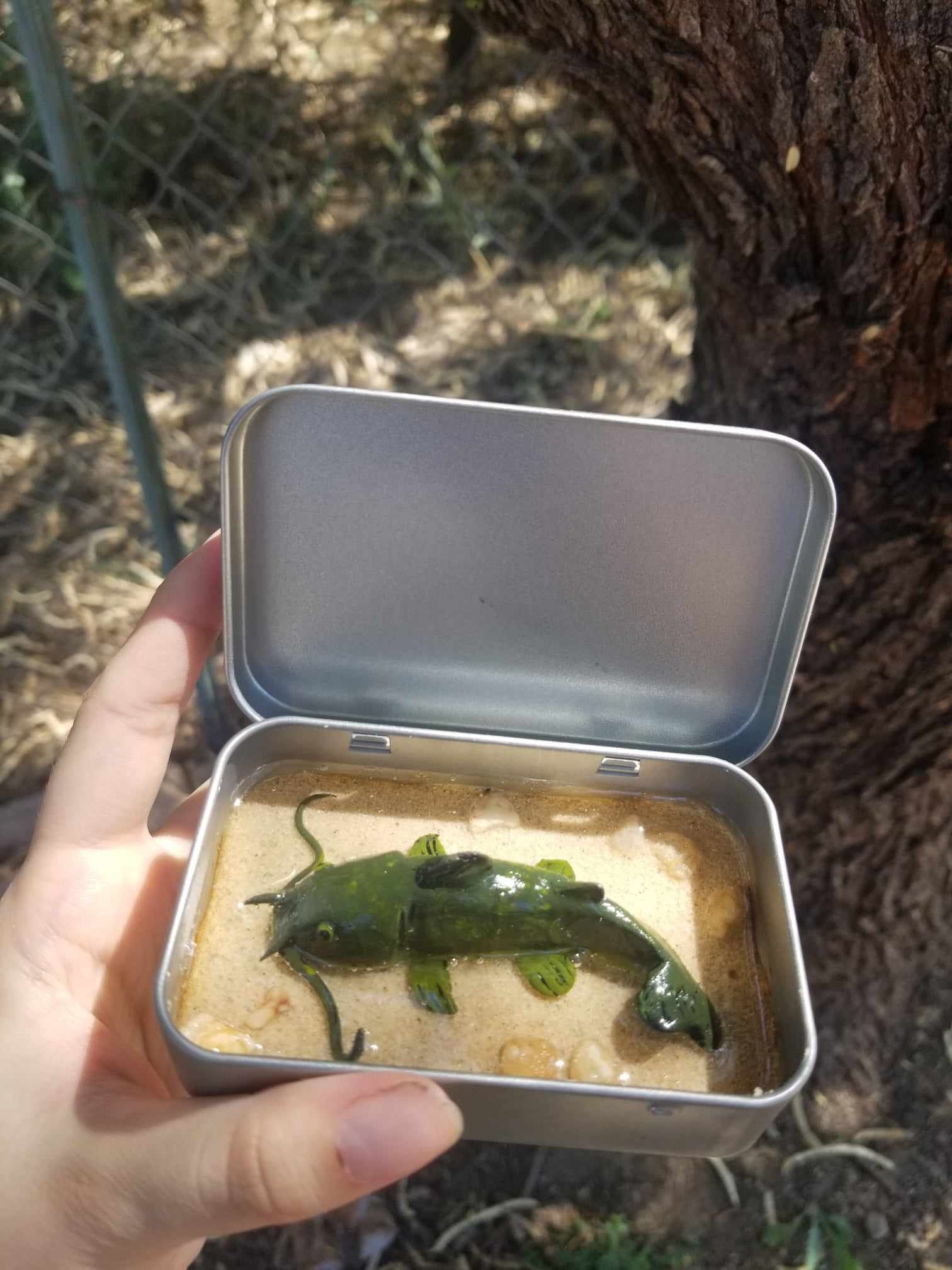 Catfish in Resin Pond Polymer Clay Art Pond in a Tin - Etsy